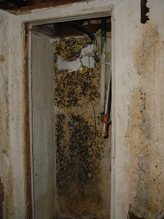 Advanced Environmental: Mold & Asbestos, Bio-Hazard Materials, Trama ...